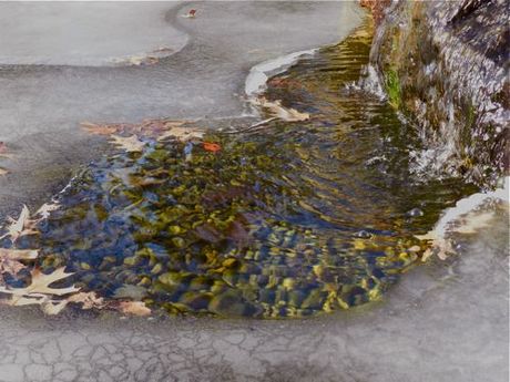 Icy Pond | HenCam